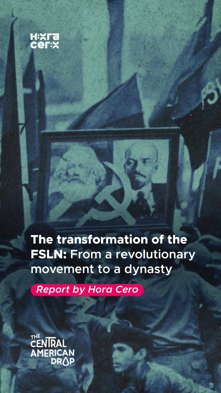 The transformation of the FSLN: From a revolutionary movement to a ...